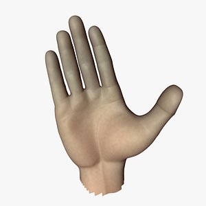 3D Anatomy Mano Models - Browse & Download Formats - TurboSquid