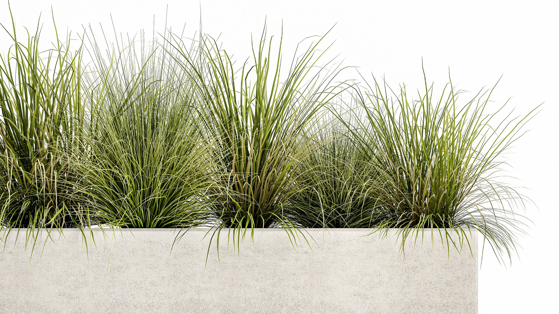 Potted Reeds For Landscaping 1075 3D Model - TurboSquid 1816925