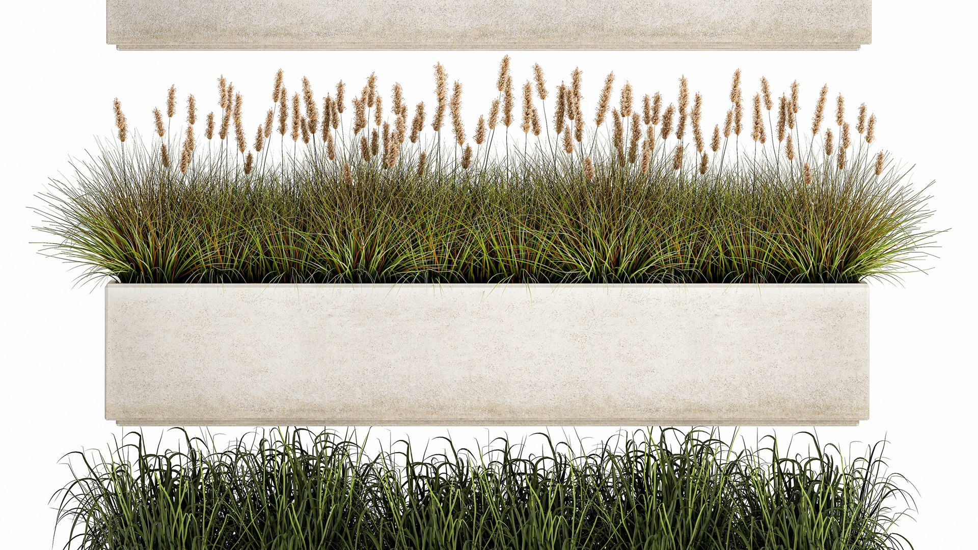 Potted Reeds For Landscaping 1075 3D Model - TurboSquid 1816925