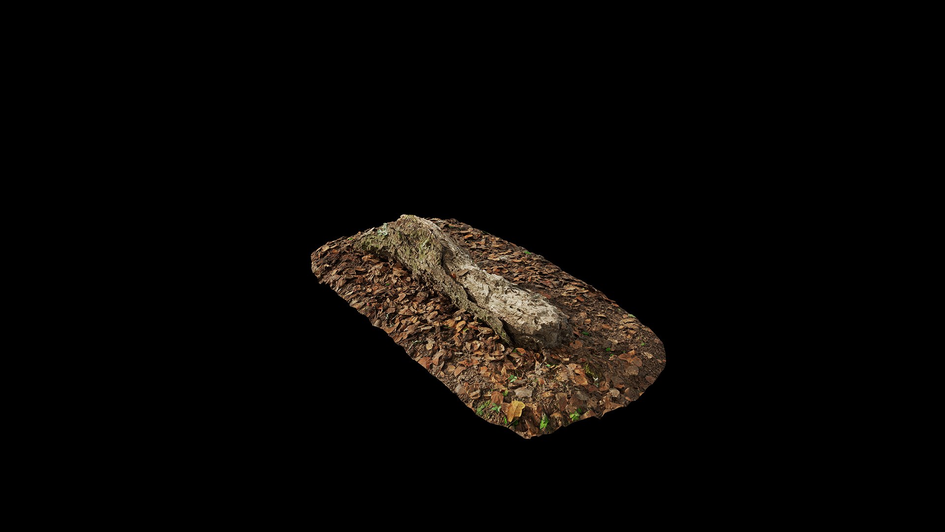 3D Model Anydrafts Old Fallen Tree 04 - TurboSquid 2321975