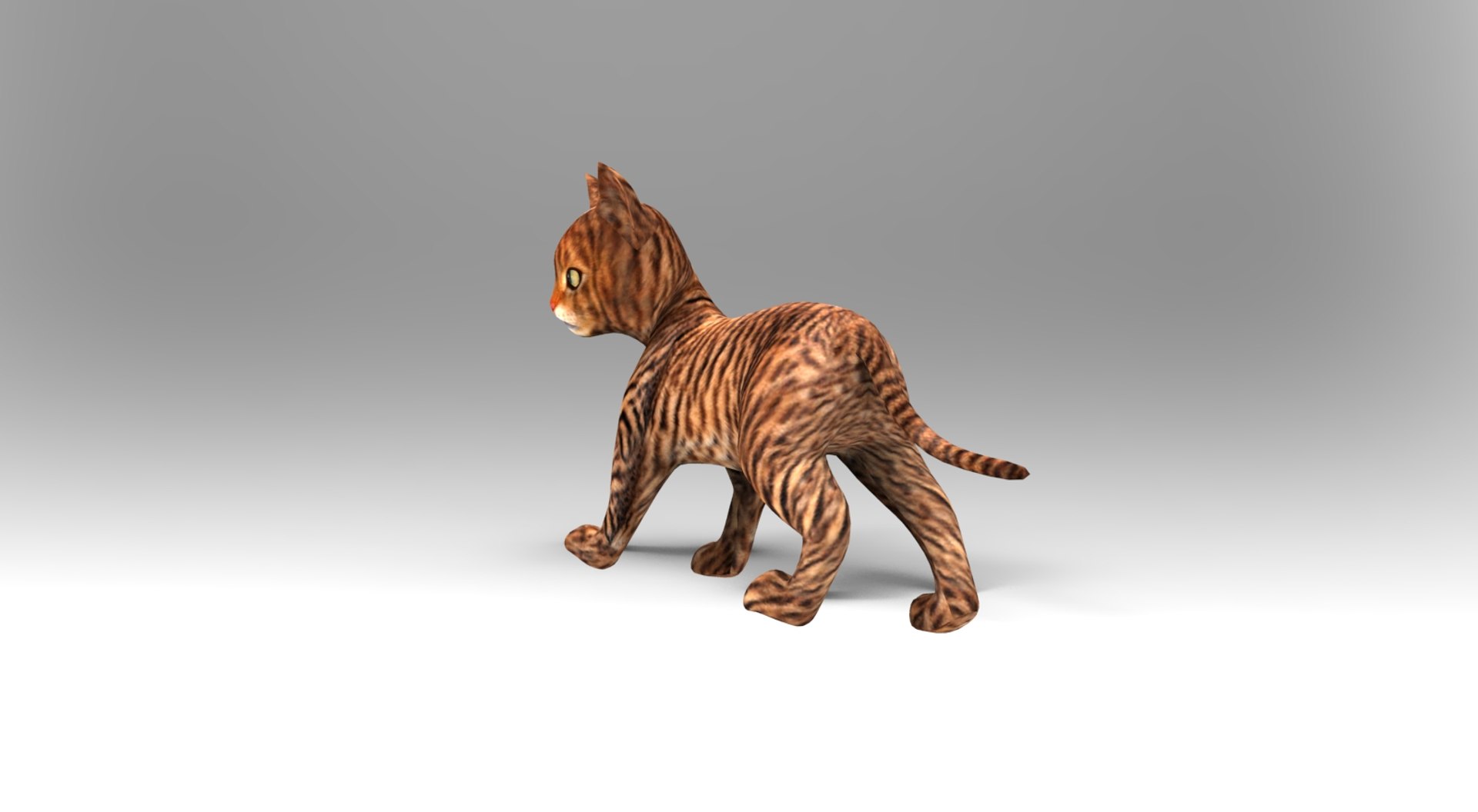 Cat rigged animation 3D model - TurboSquid 1204432