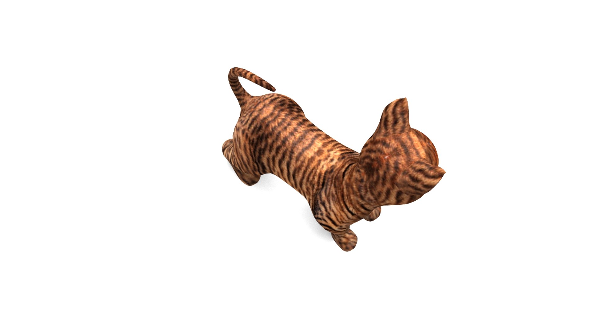 Cat rigged animation 3D model - TurboSquid 1204432