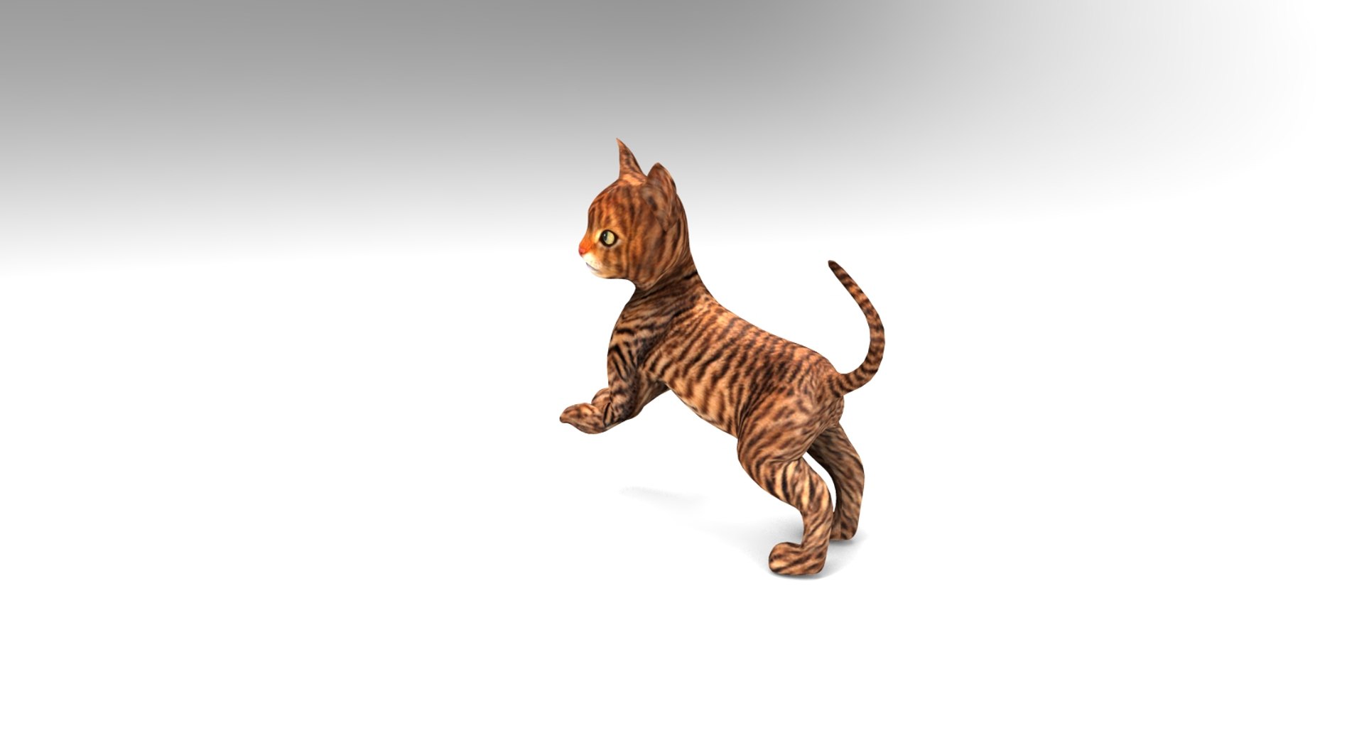 Cat rigged animation 3D model - TurboSquid 1204432
