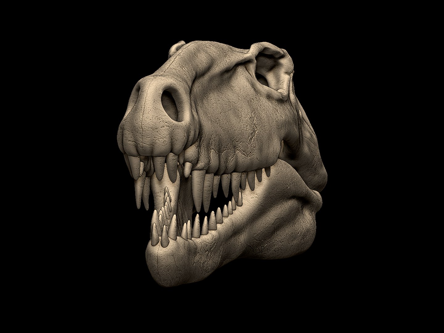 Dimetrodon Skull 3D Print Model 3D Model - TurboSquid 2396875