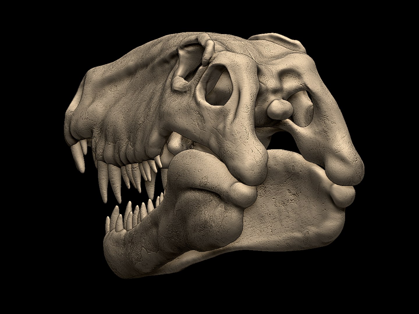 Dimetrodon Skull 3D Print Model 3D Model - TurboSquid 2396875