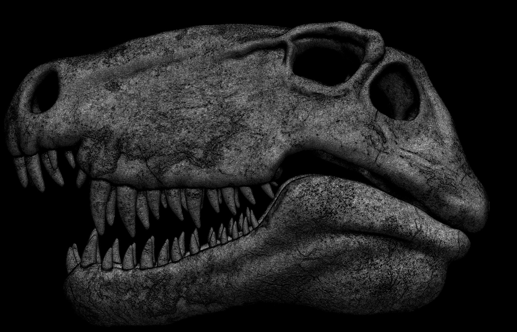 Dimetrodon Skull 3D Print Model 3D Model - TurboSquid 2396875