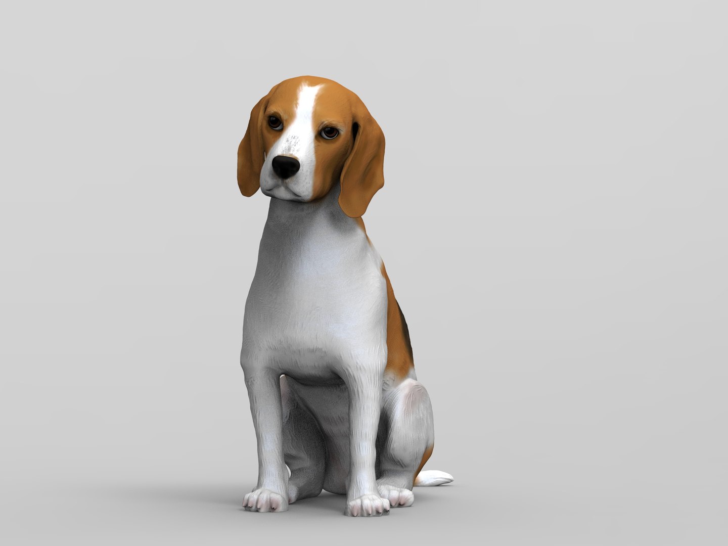 3D Cute Beagle Dog - TurboSquid 2216178