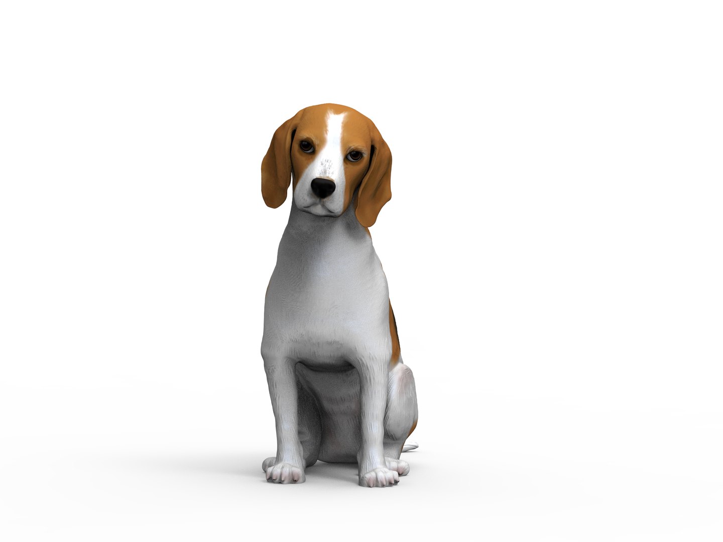 3D Cute Beagle Dog - TurboSquid 2216178