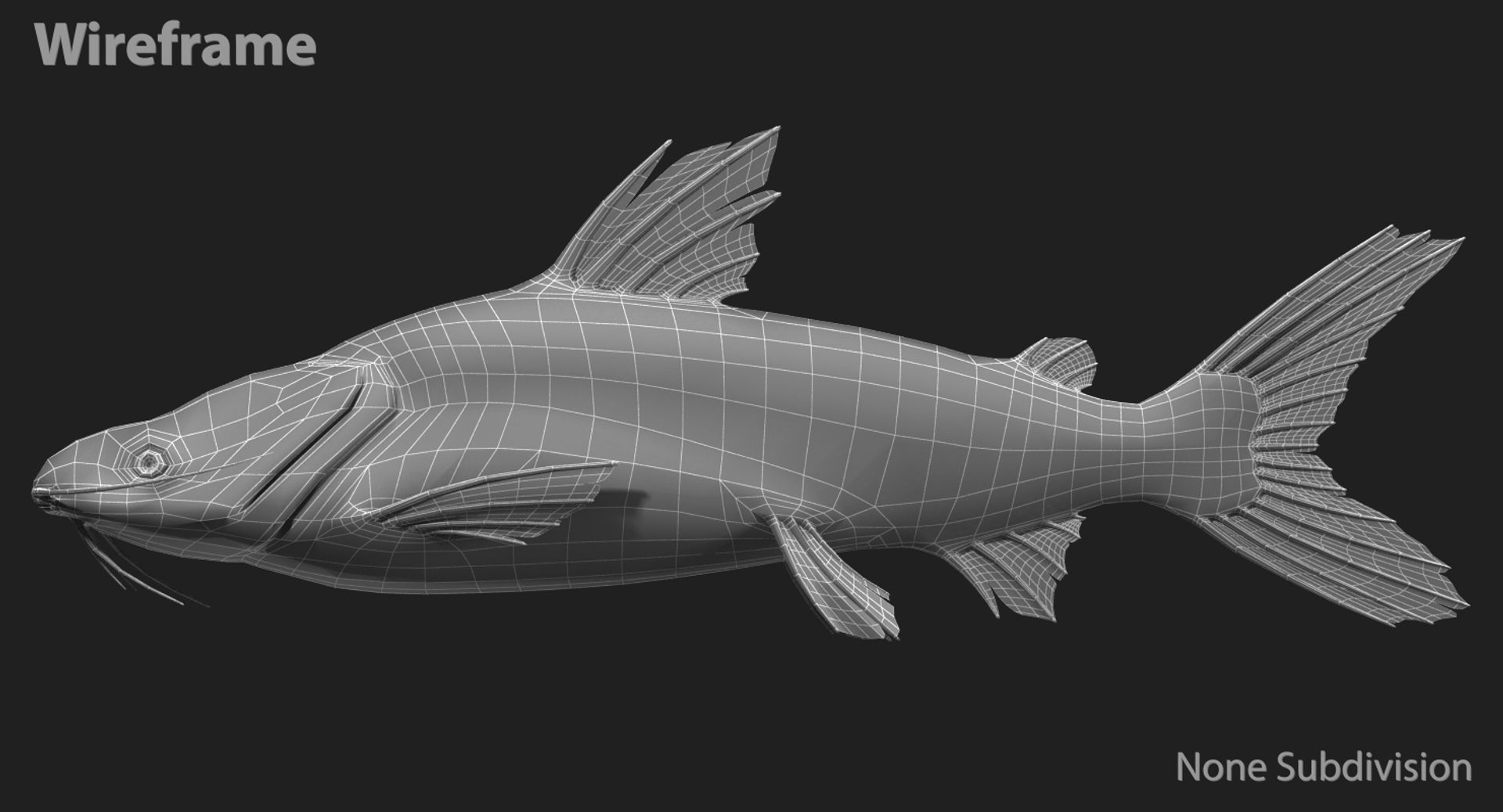 Sea catfish model - TurboSquid 1201099