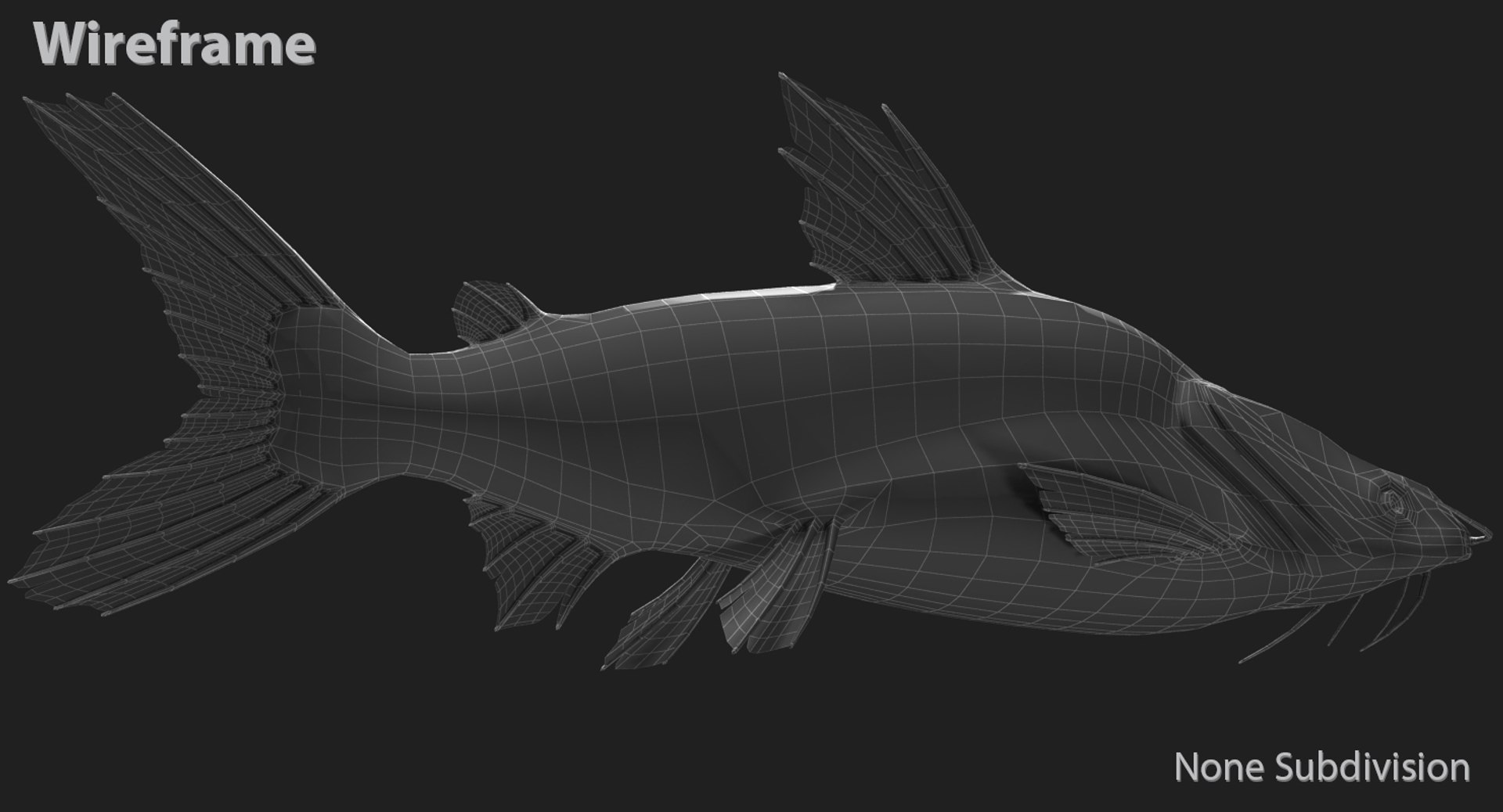 Sea catfish model - TurboSquid 1201099