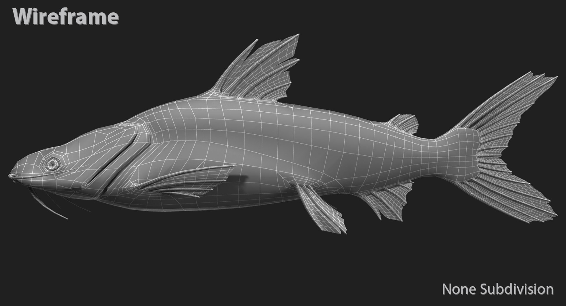 Sea catfish model - TurboSquid 1201099