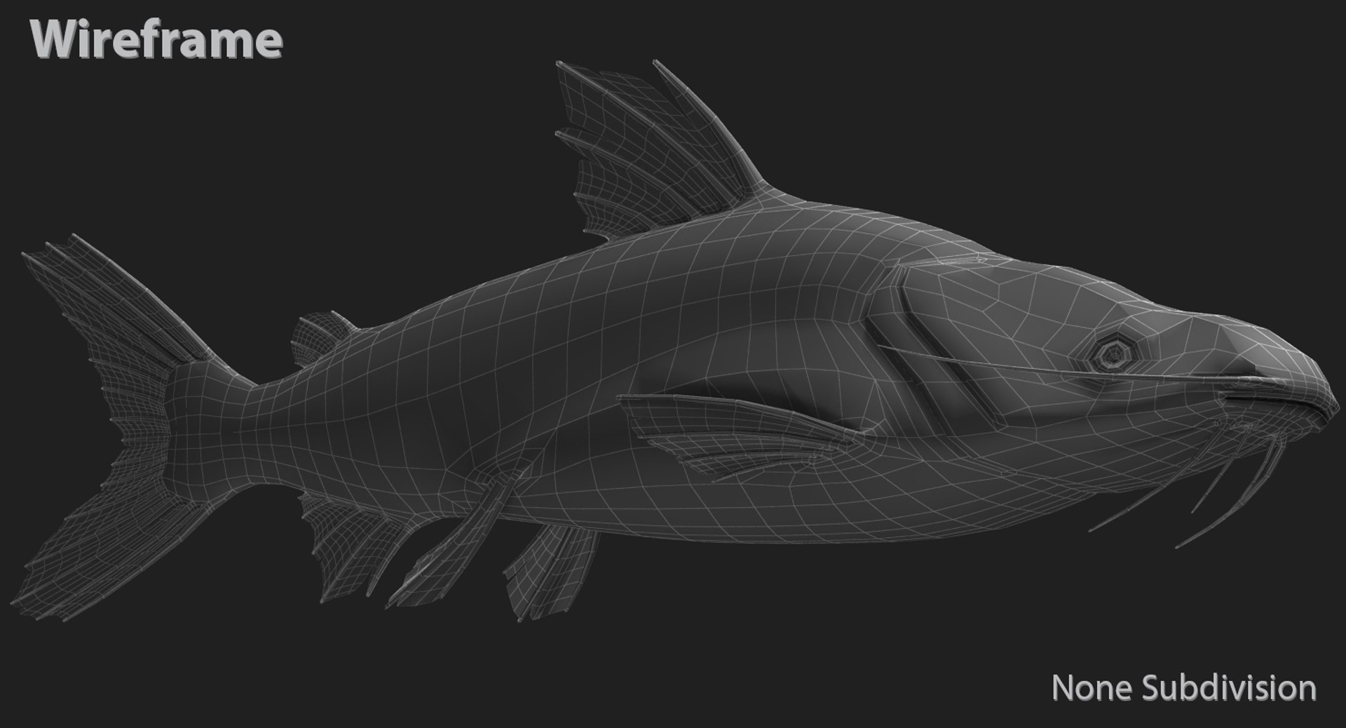 Sea catfish model - TurboSquid 1201099