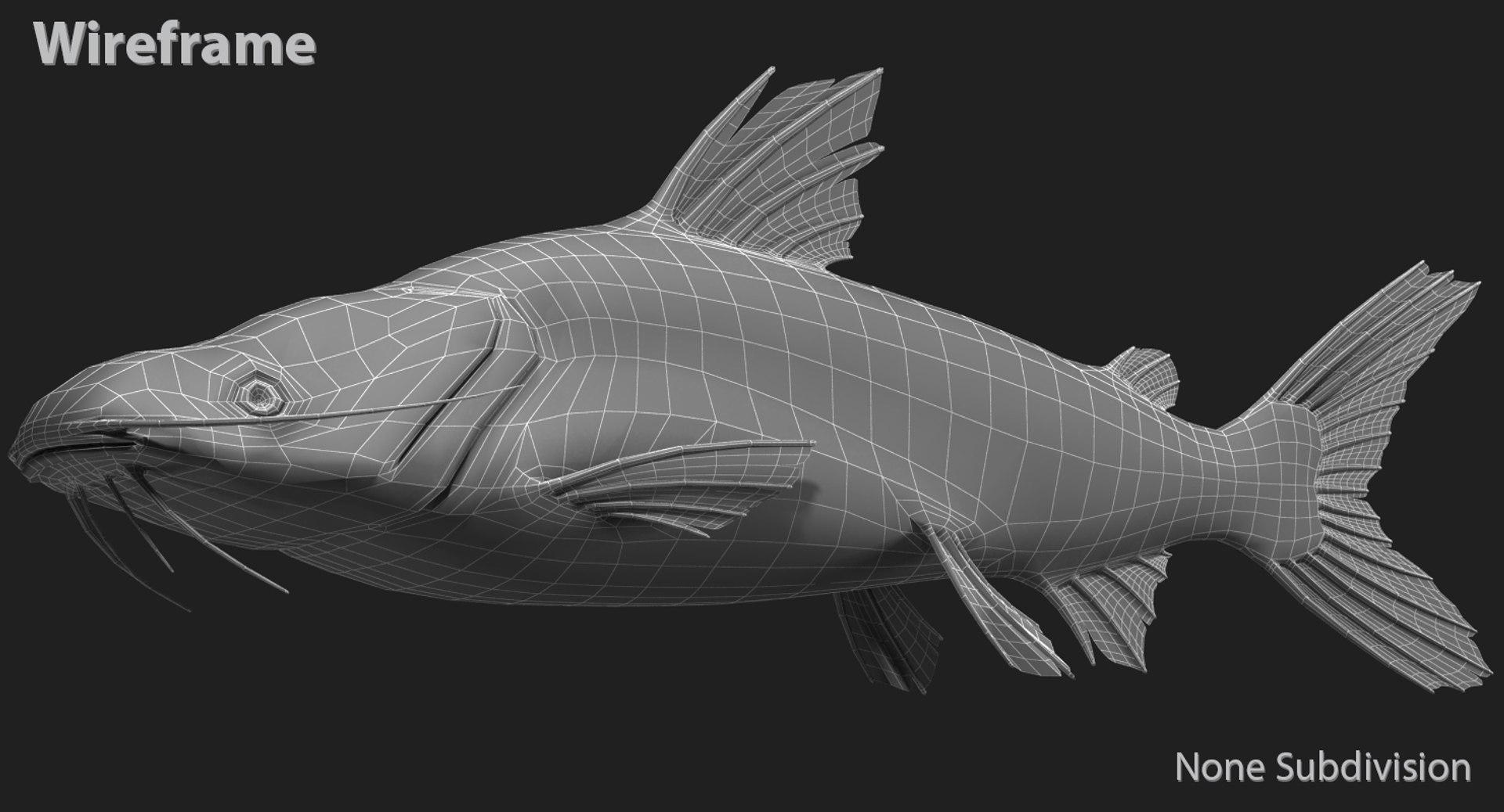 Sea catfish model - TurboSquid 1201099