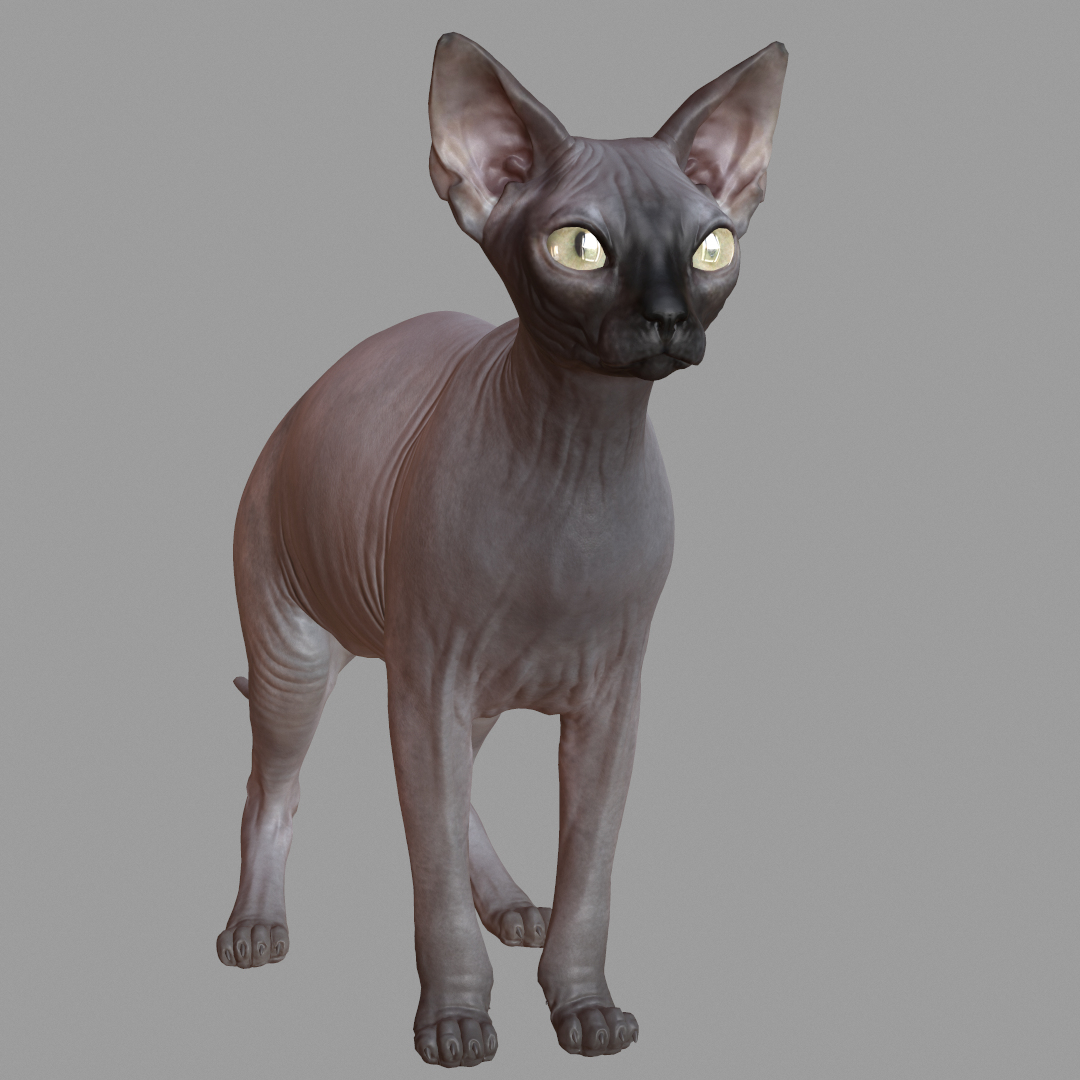 3d model of sphynx cat