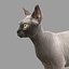 3d Model Of Sphynx Cat