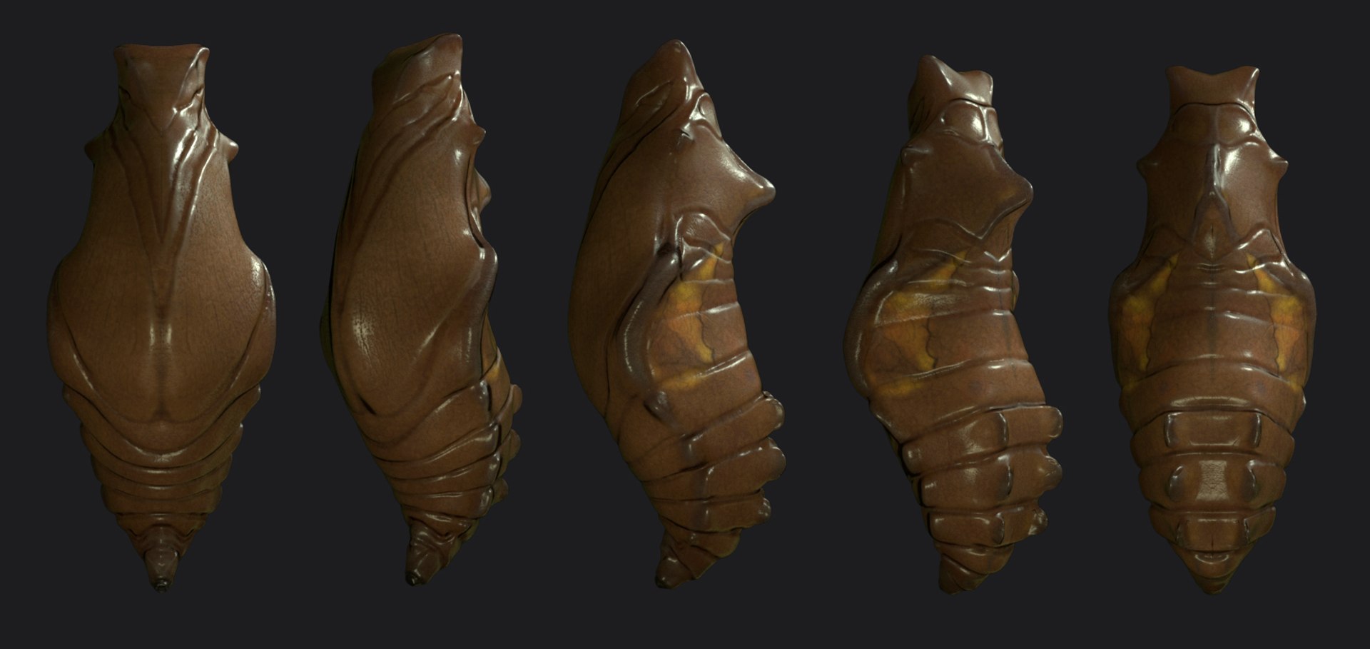 3D Model Chrysalis - TurboSquid 1323937