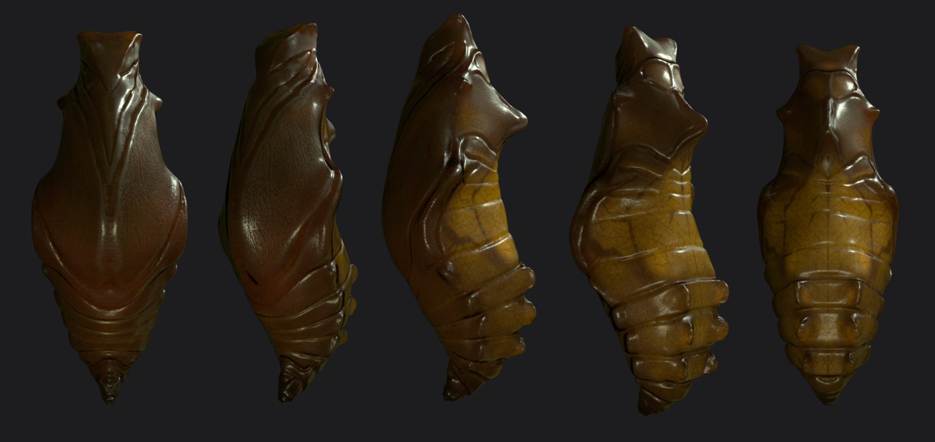 3D Model Chrysalis - TurboSquid 1323937