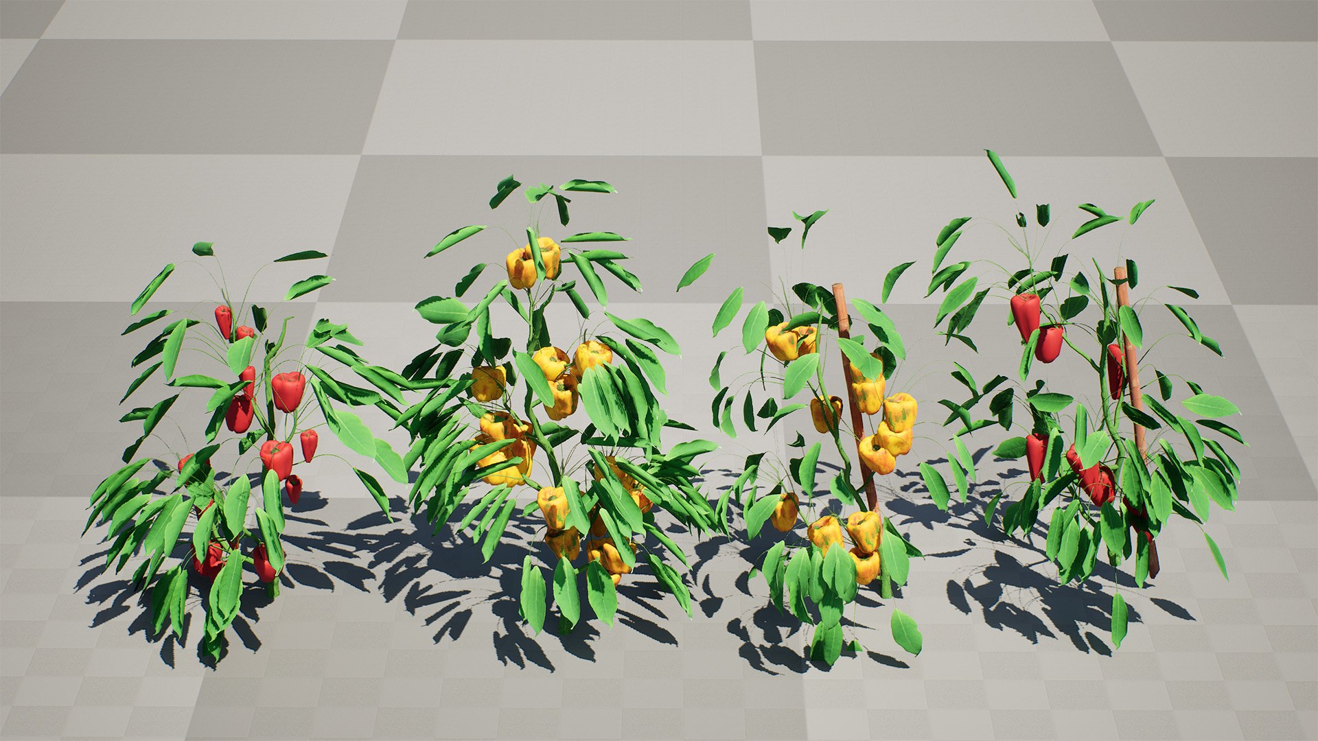 Capsicum Plant 3D Model Model - TurboSquid 2297455