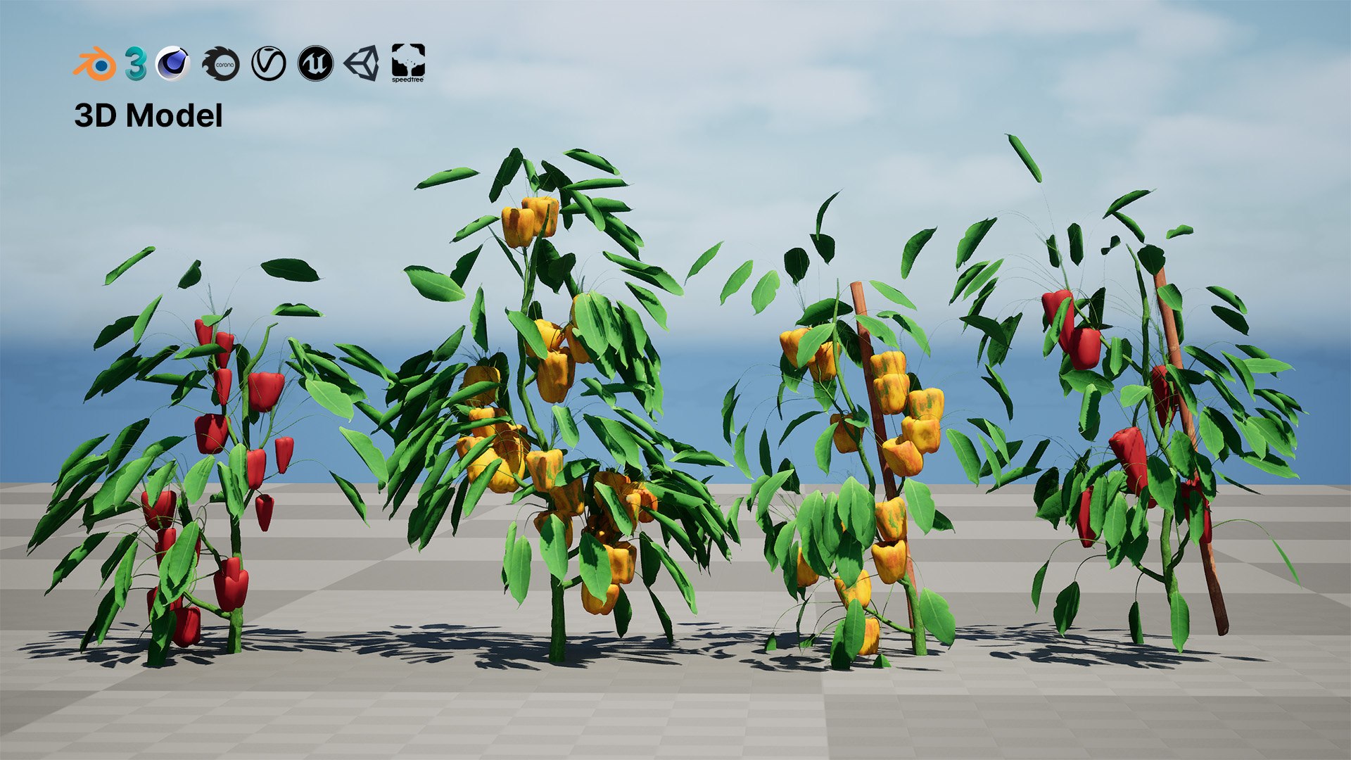 Capsicum Plant 3D Model Model - TurboSquid 2297455