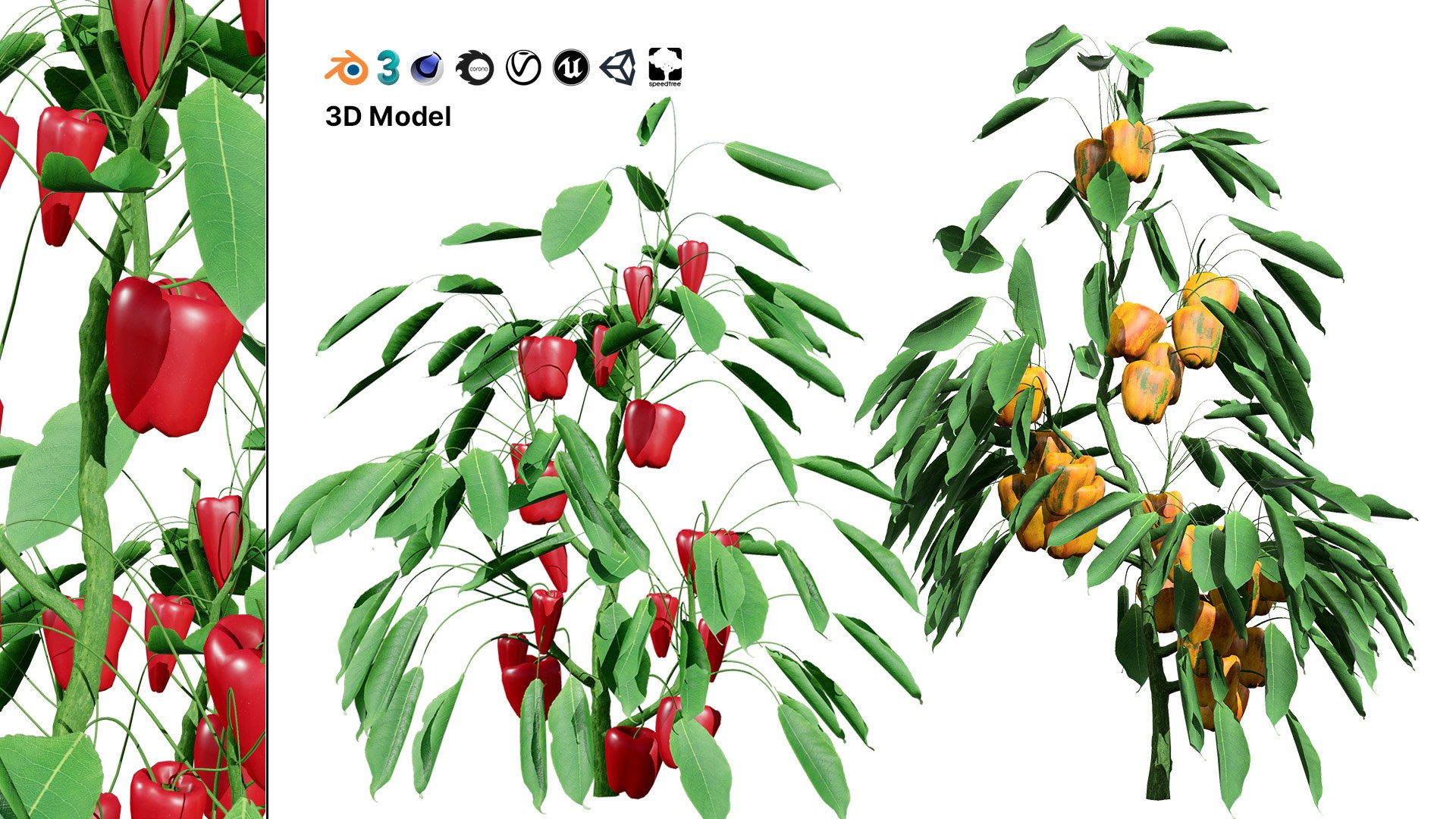 Capsicum Plant 3D Model Model - TurboSquid 2297455