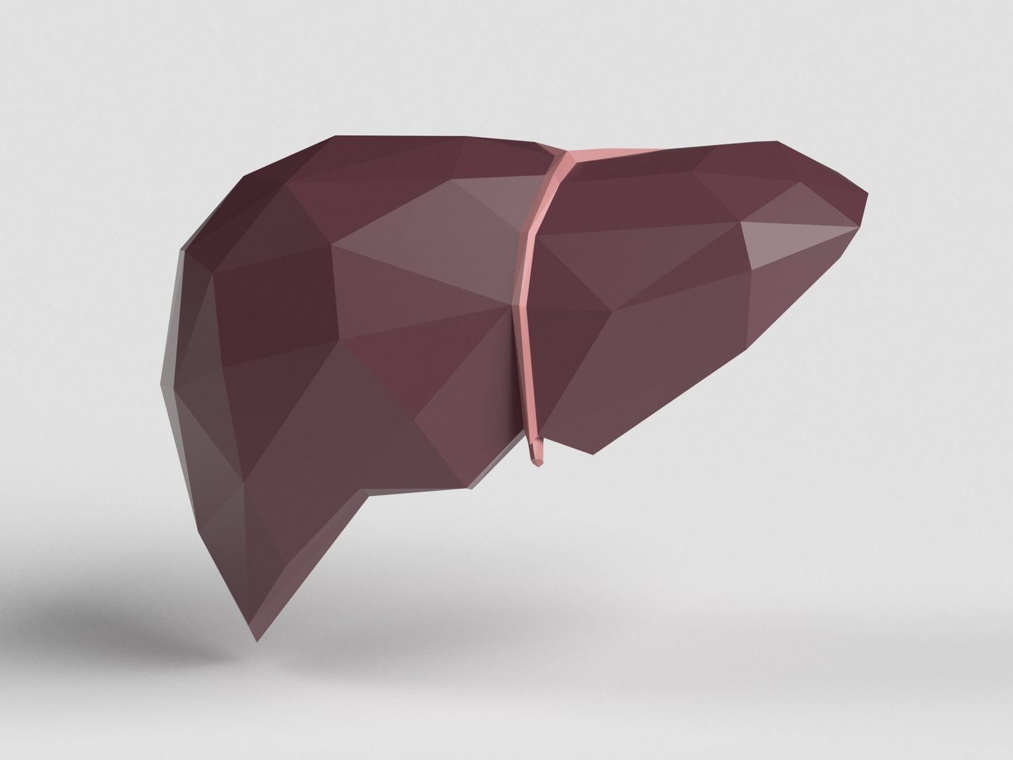 3D Stylized LowPoly Liver - TurboSquid 1804003
