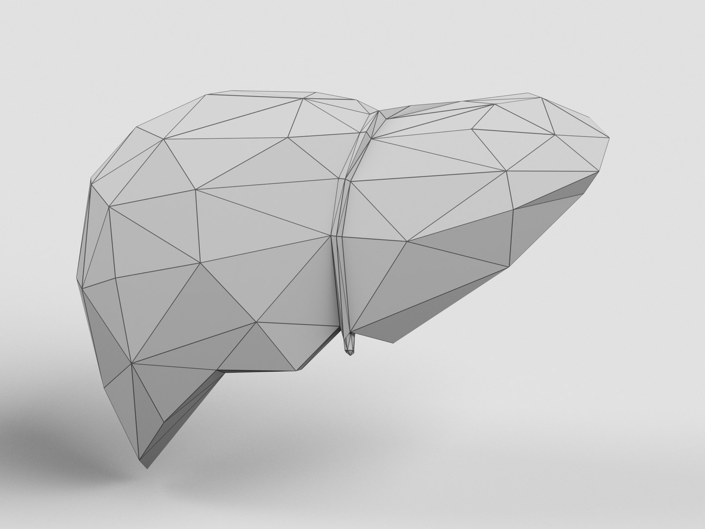 3D Stylized LowPoly Liver - TurboSquid 1804003