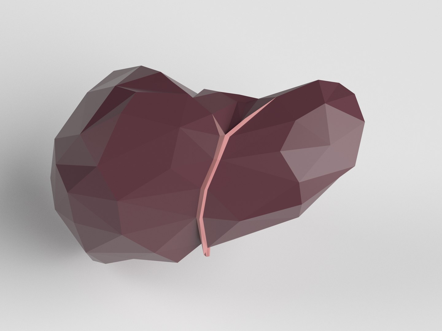 3D Stylized LowPoly Liver - TurboSquid 1804003