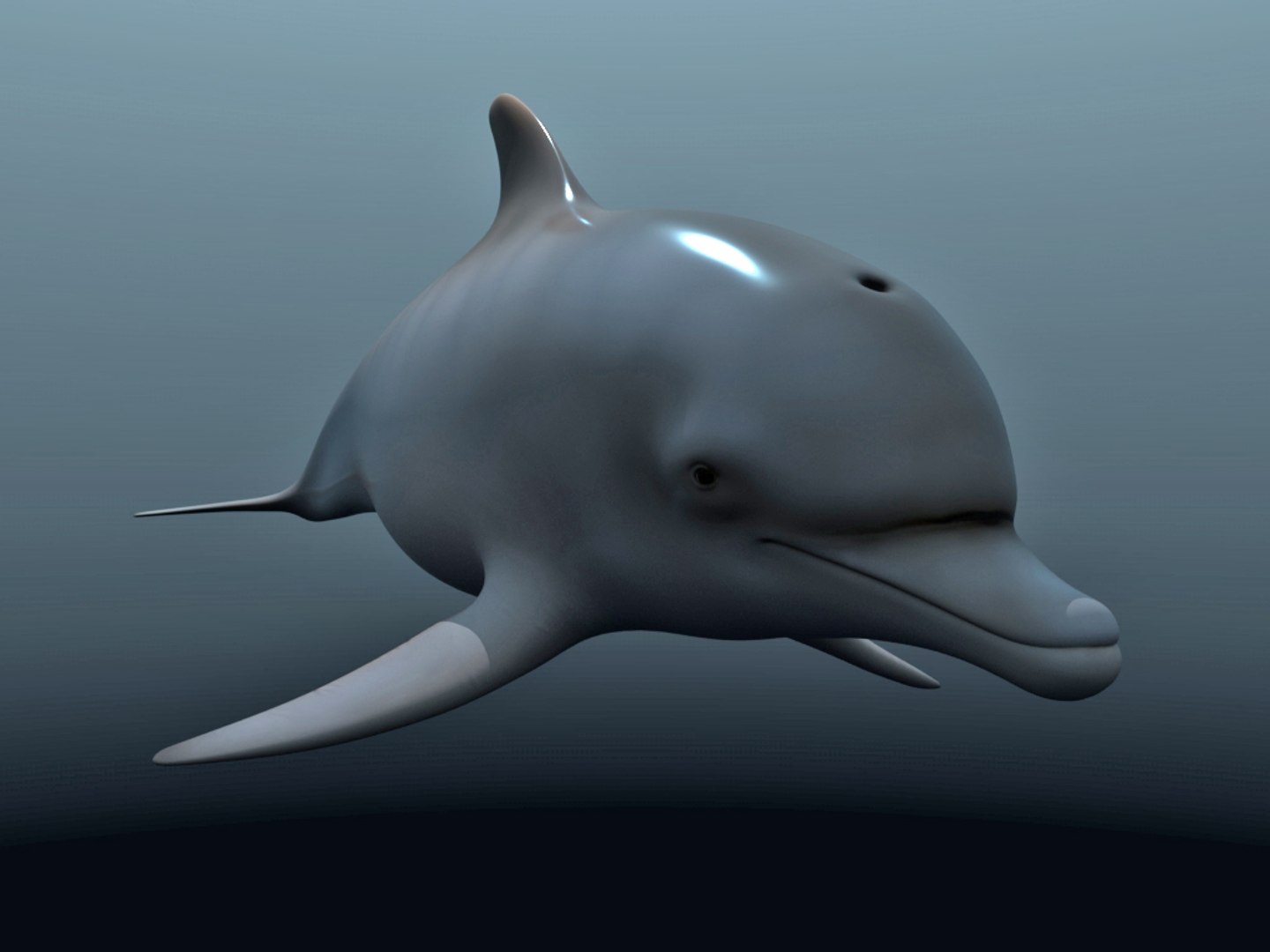 3D Model Dolphin - TurboSquid 1517045