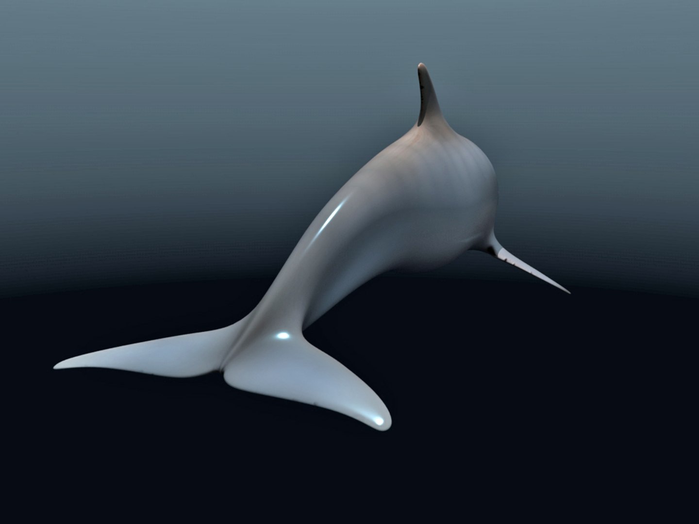 3D Model Dolphin - TurboSquid 1517045