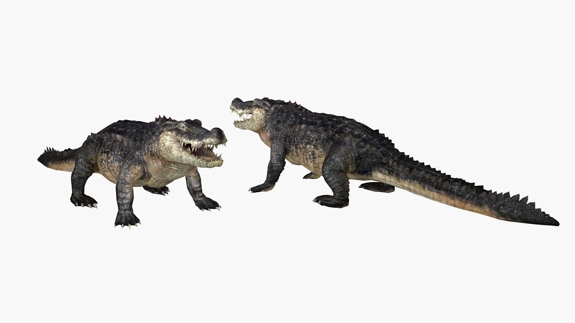 3D Crocodile Model - TurboSquid 2345009