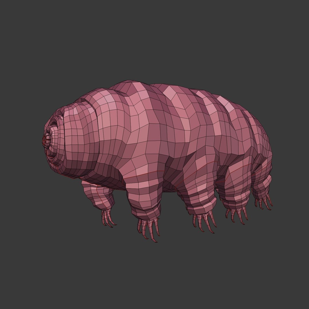 Tardigrade Anatomy Model - TurboSquid 1383792
