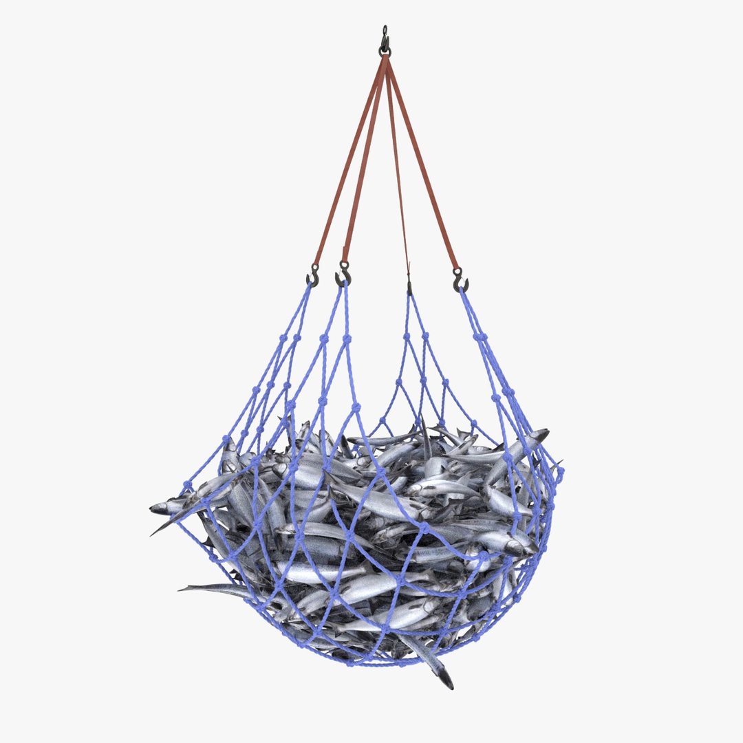 Net Full Of FISH Model - TurboSquid 1983447