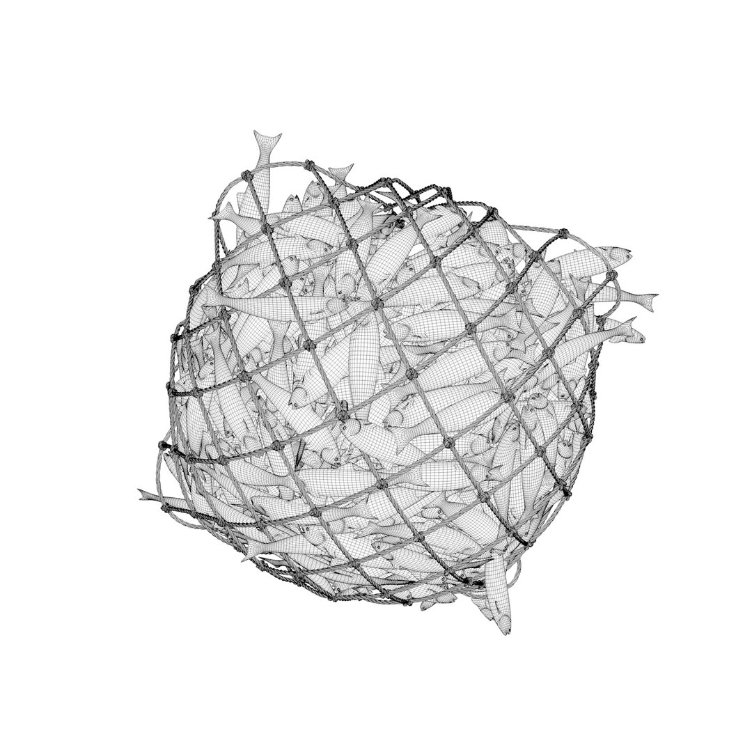 Net Full Of FISH Model - TurboSquid 1983447