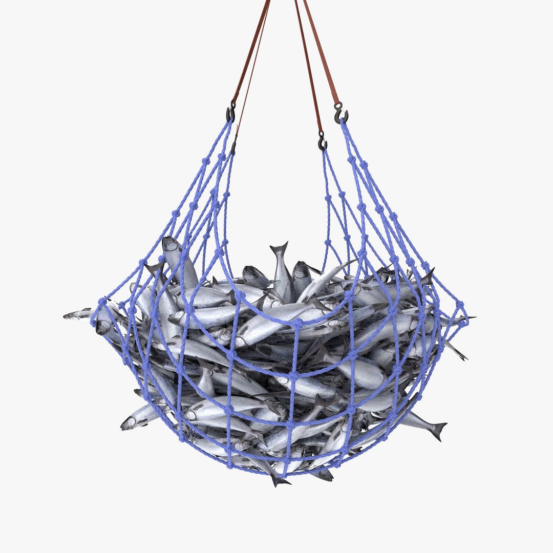 Net Full Of FISH Model - TurboSquid 1983447