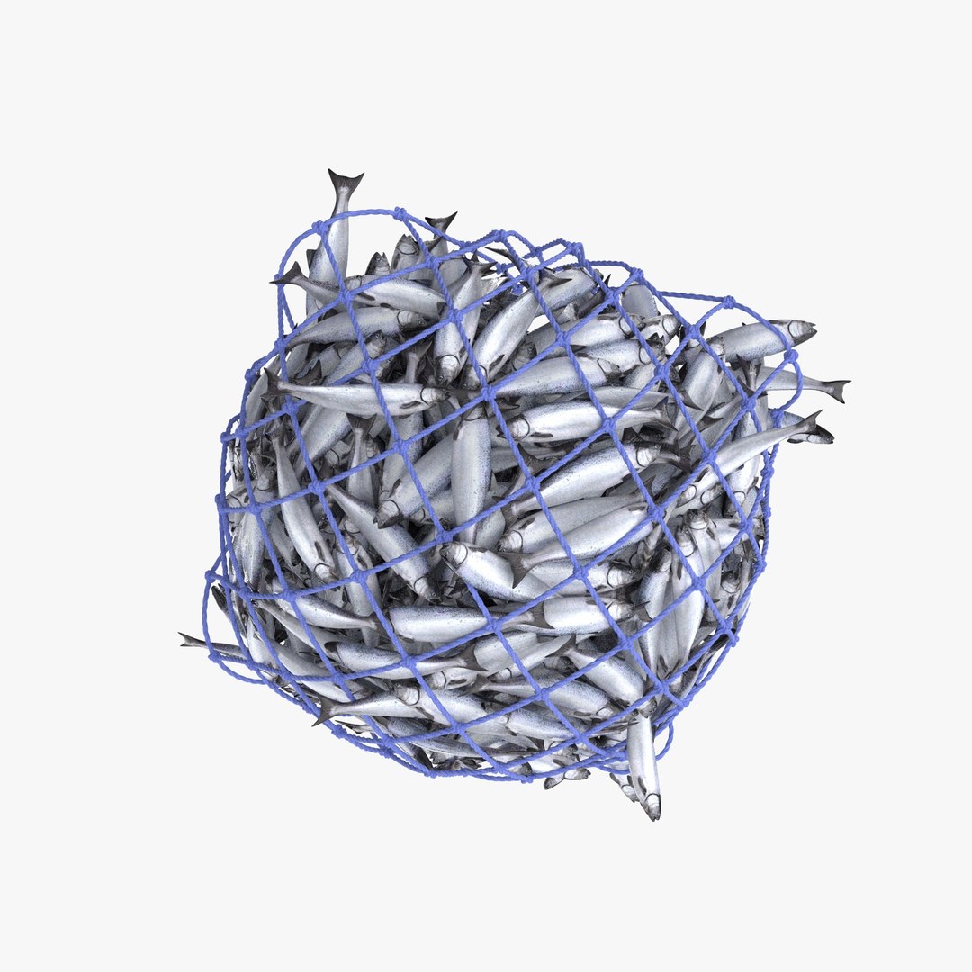 Net Full Of FISH Model - TurboSquid 1983447