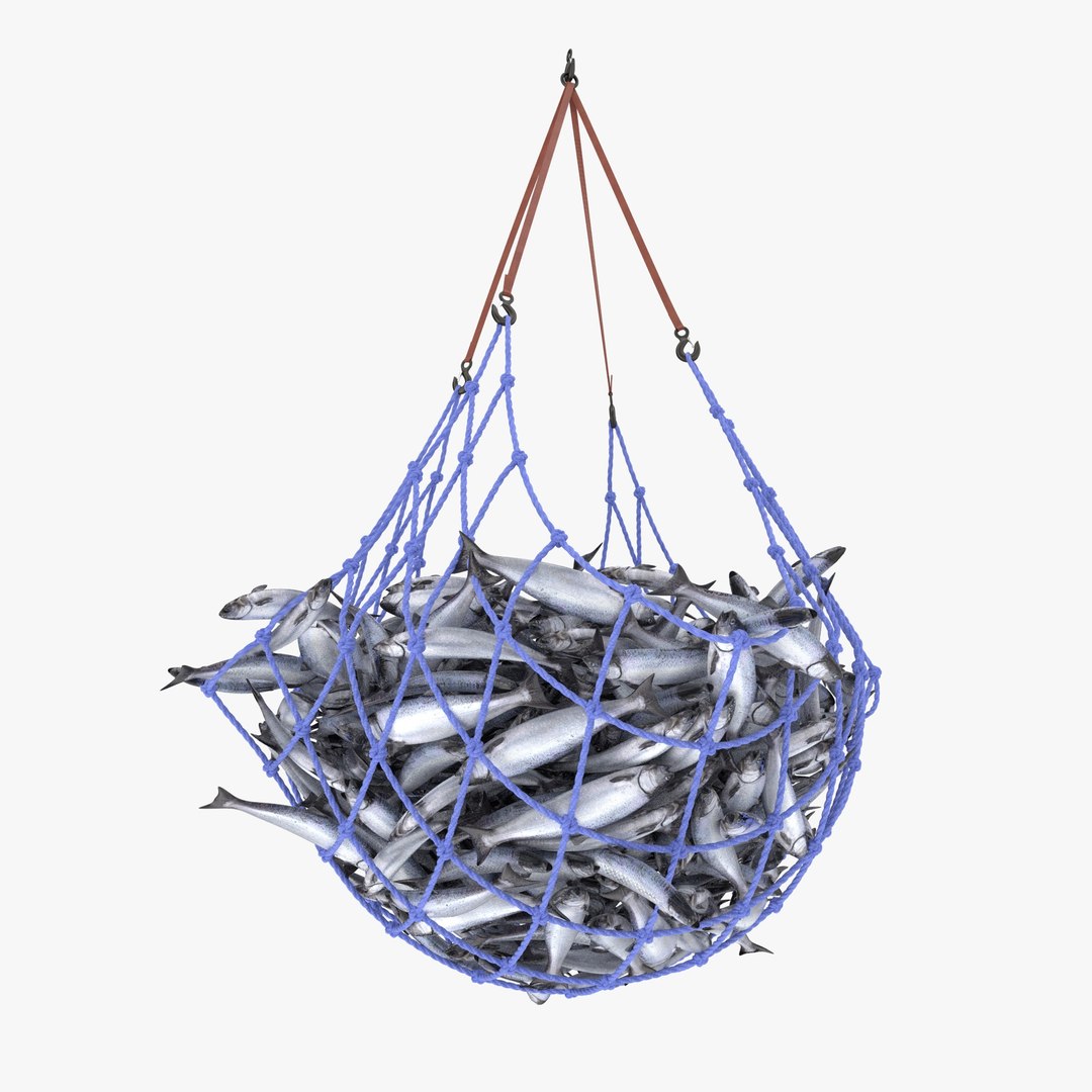 Net Full Of FISH Model - TurboSquid 1983447