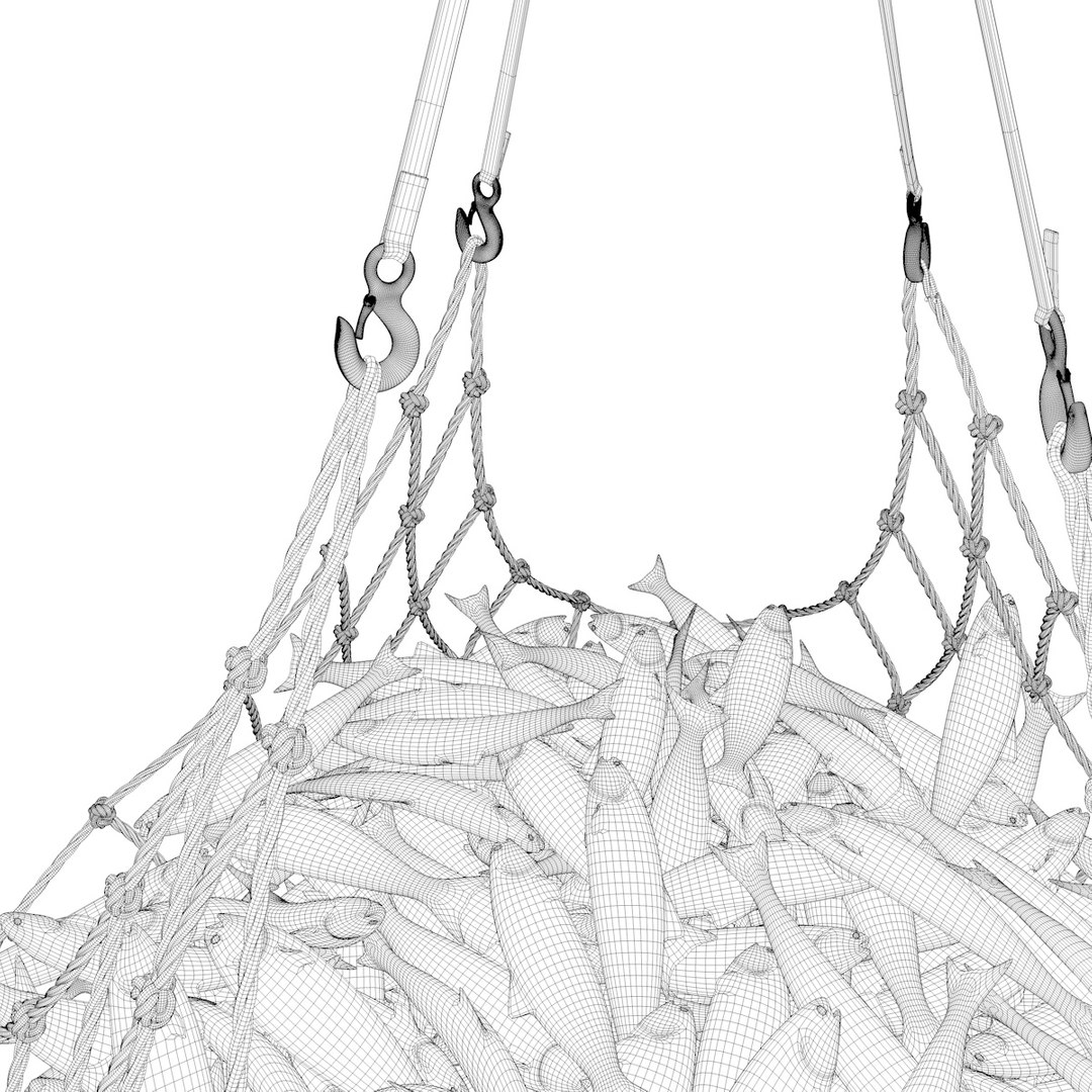 Net Full Of FISH Model - TurboSquid 1983447