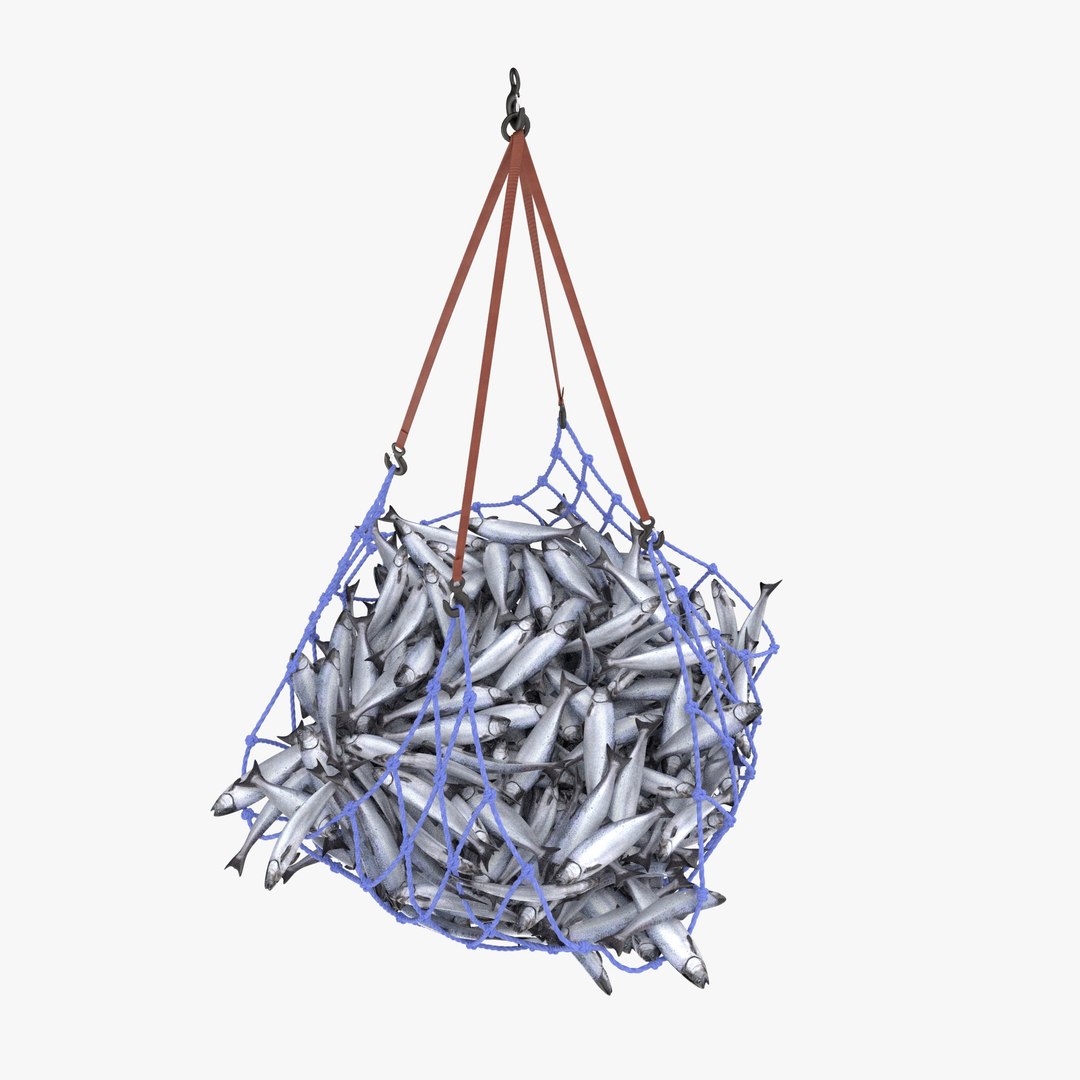 Net Full Of FISH Model - TurboSquid 1983447