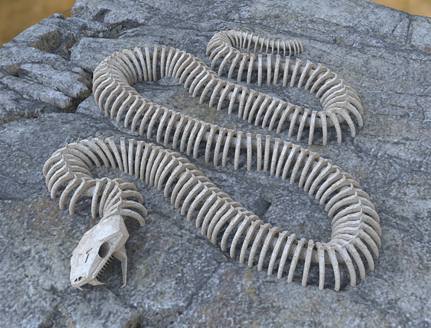3D Model Snake Skeleton - TurboSquid 2049659
