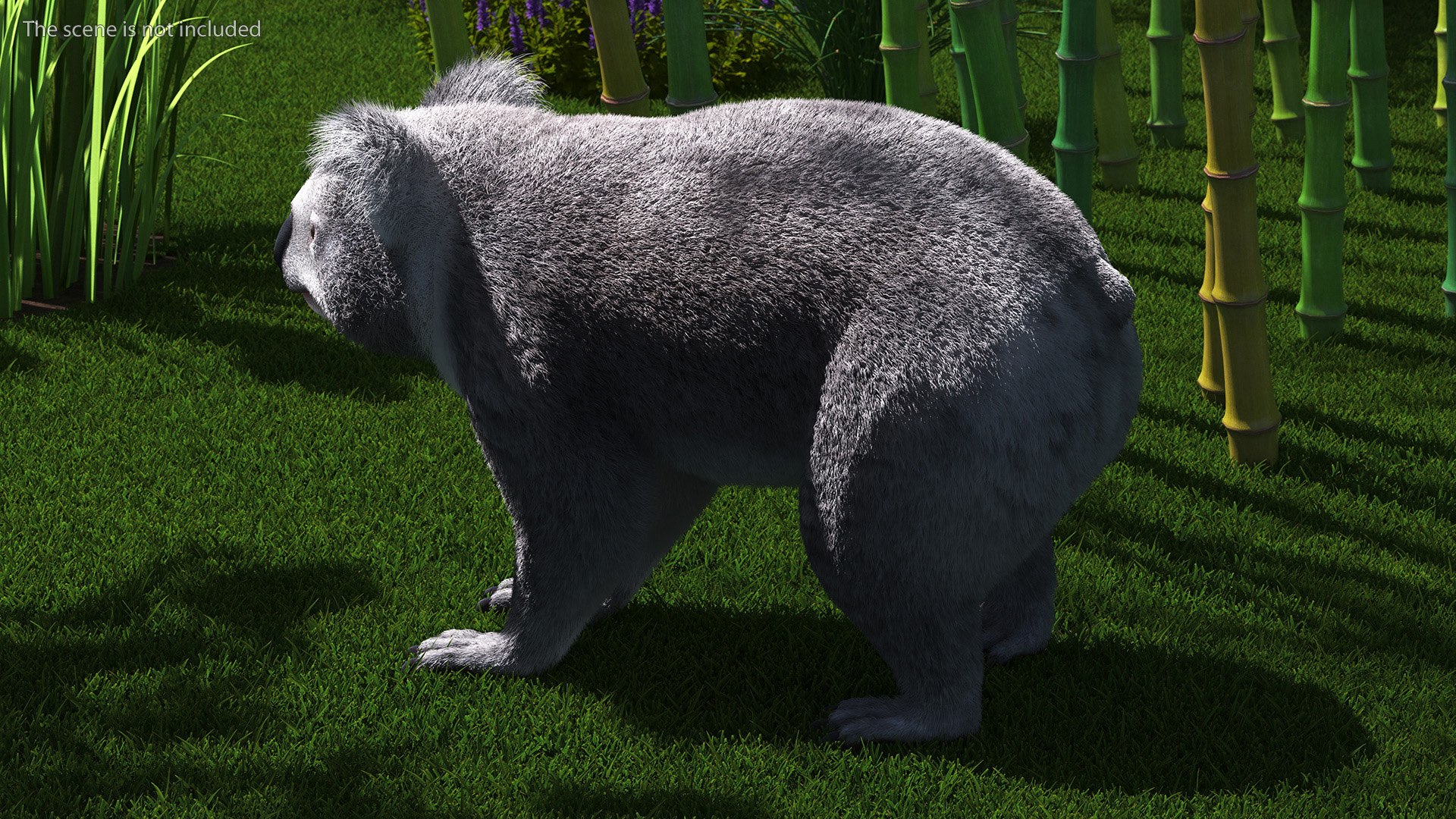 Australian Koala Fur 3D Model - TurboSquid 2166959