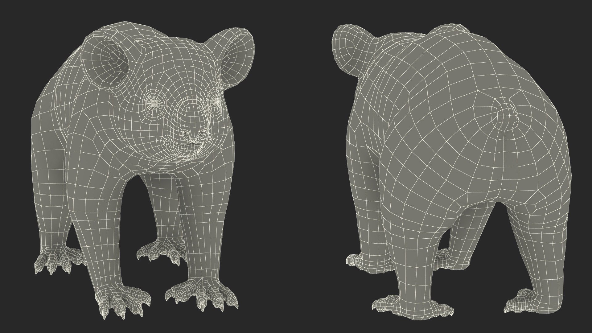 Australian Koala Fur 3D Model - TurboSquid 2166959