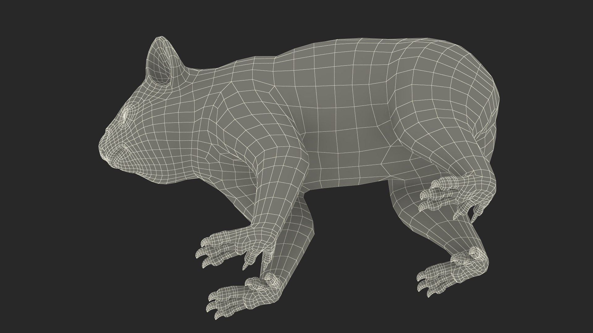 Australian Koala Fur 3D Model - TurboSquid 2166959