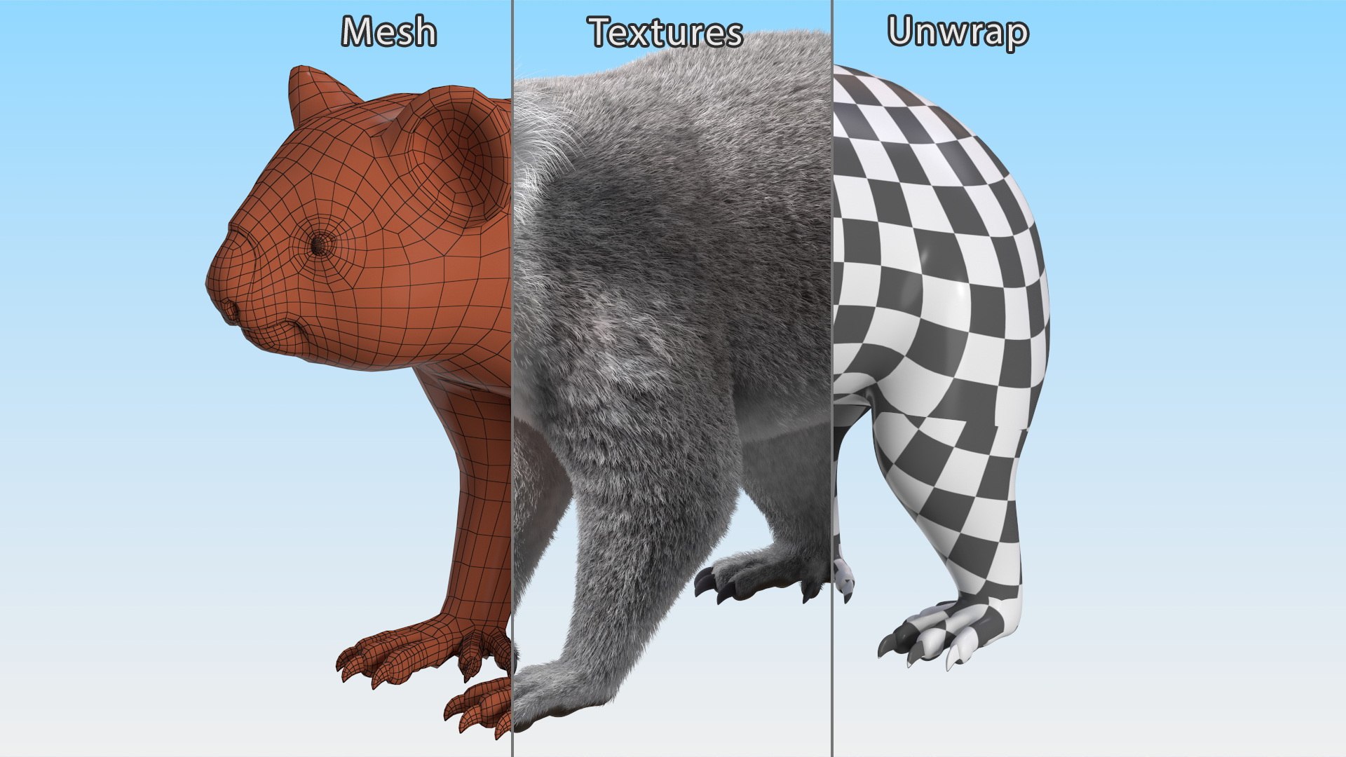 Australian Koala Fur 3D Model - TurboSquid 2166959