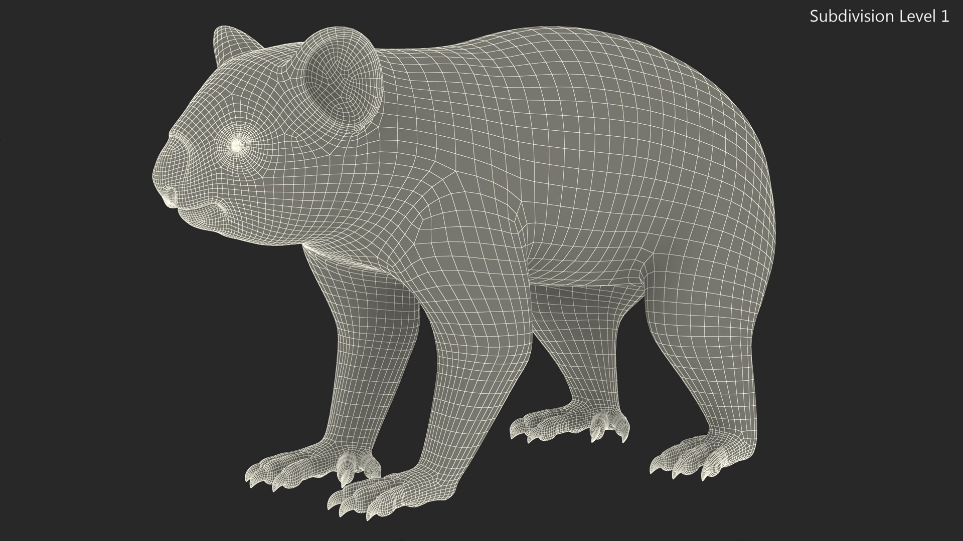 Australian Koala Fur 3D Model - TurboSquid 2166959