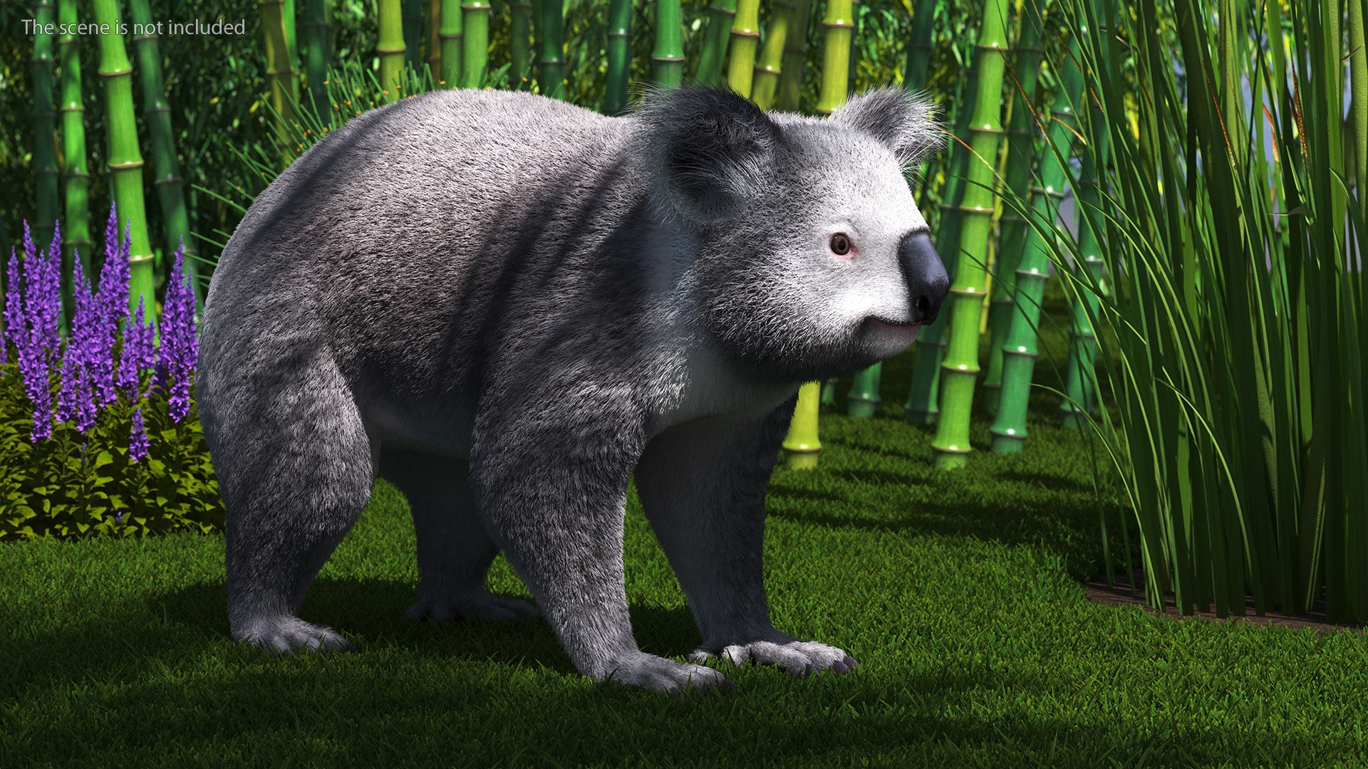 Australian Koala Fur 3D Model - TurboSquid 2166959