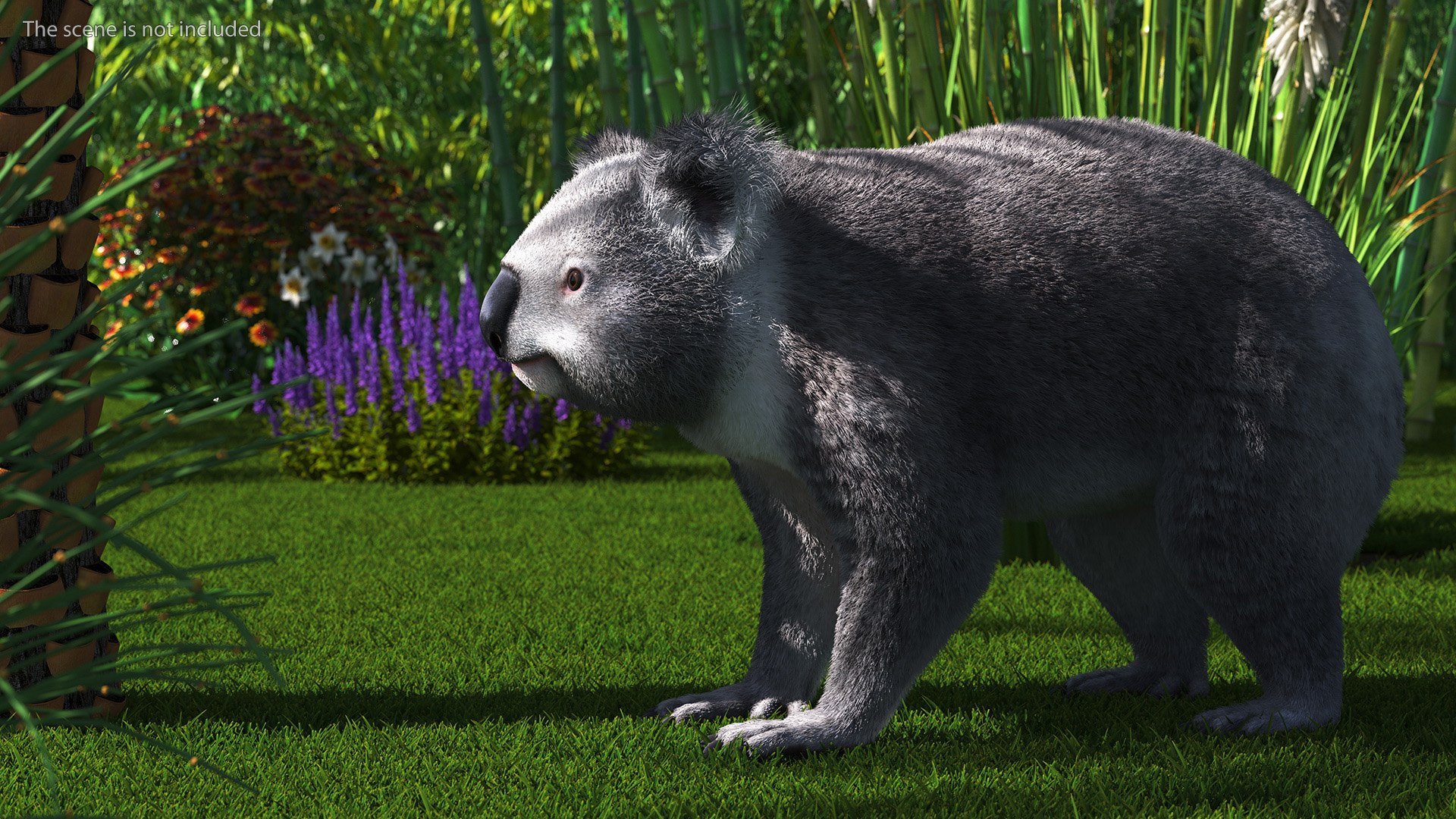 Australian Koala Fur 3D Model - TurboSquid 2166959