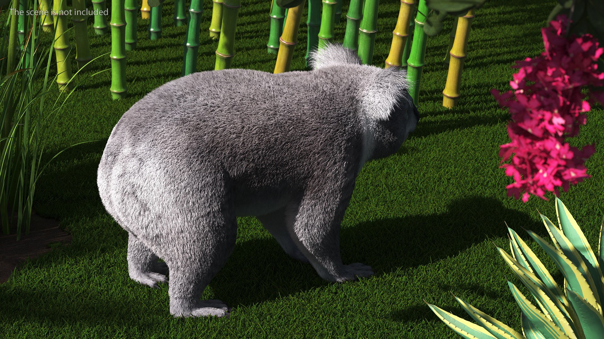 Australian Koala Fur 3D Model - TurboSquid 2166959