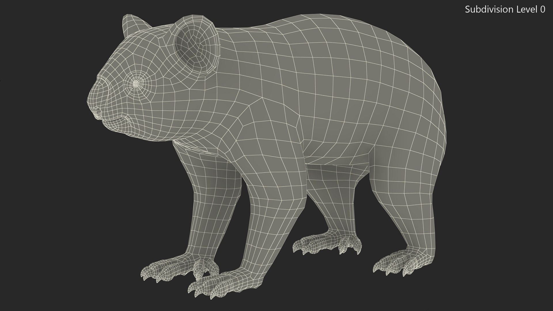 Australian Koala Fur 3D Model - TurboSquid 2166959