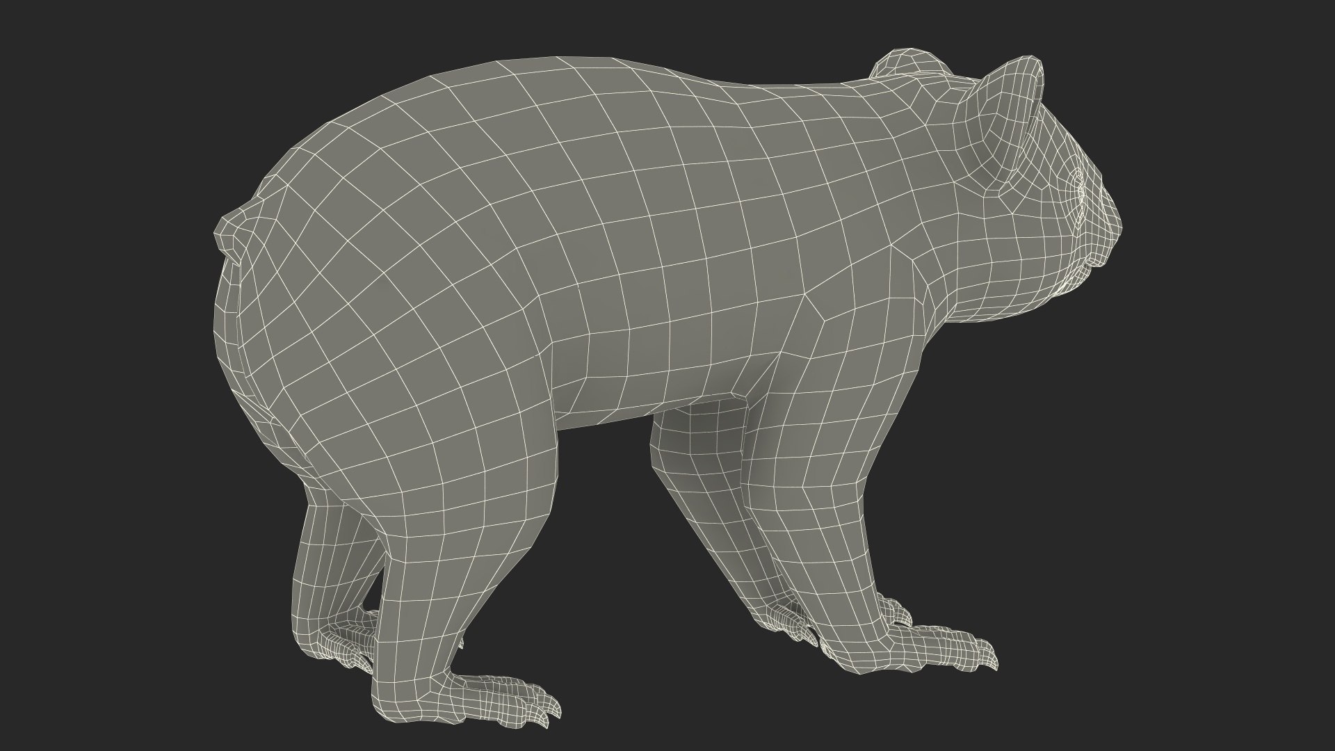 Australian Koala Fur 3D Model - TurboSquid 2166959