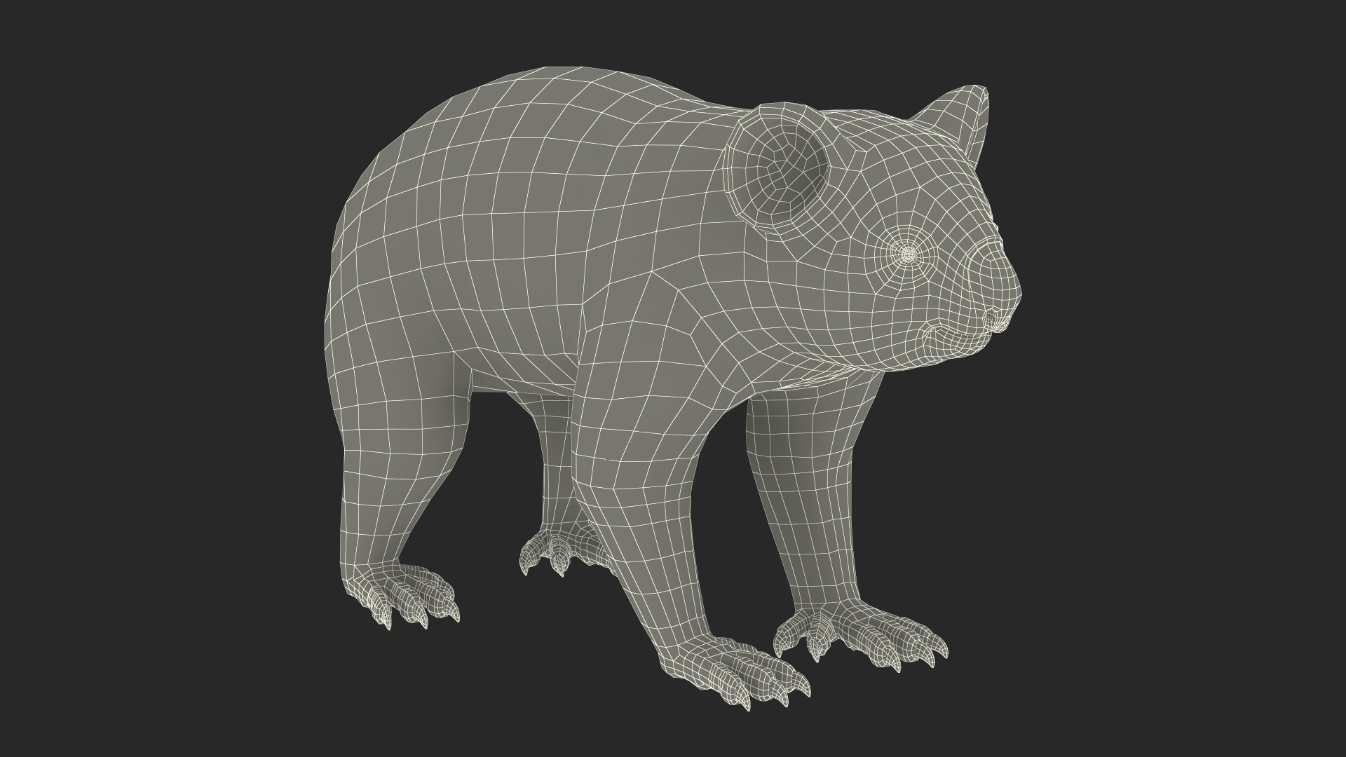 Australian Koala Fur 3D Model - TurboSquid 2166959